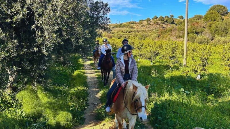 Catania: Guided Horseback Ride in Misterbianco Countryside - Final Thoughts: Is It Worth It?
