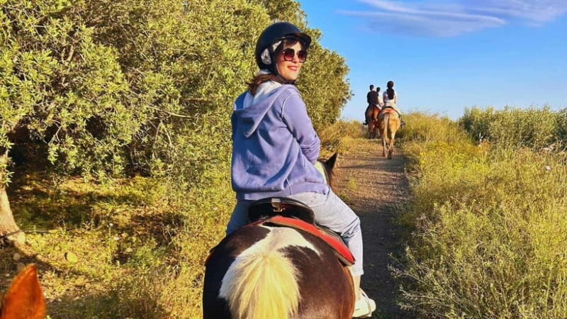 Catania: Guided Horseback Ride in Misterbianco Countryside - FAQ