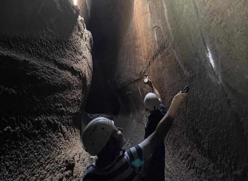 Catania: Guided Tour of Etna with Farm Visit & Food Tasting - Who is This Tour Perfect For?