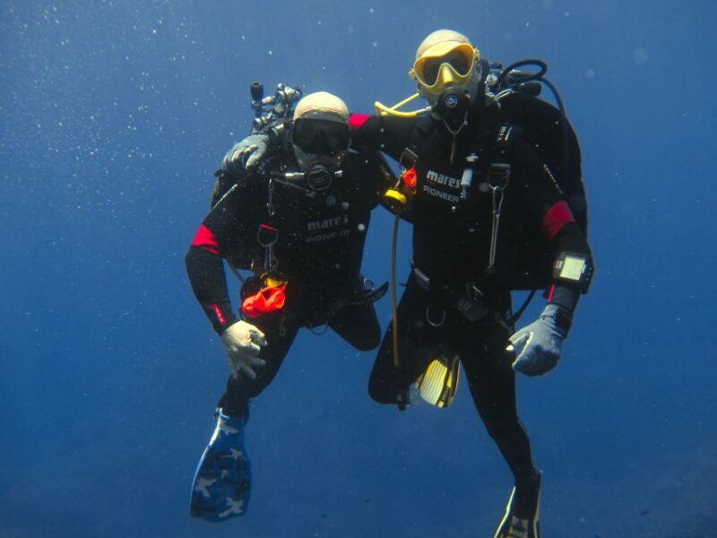 Catania: Gulf Scuba Diving Tour with Marine Biologist - Key Points