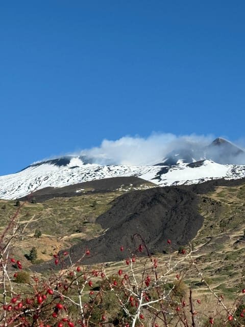 Catania: Morning Jeep Tour of Mount Etna and Lava Flow Caves - FAQs