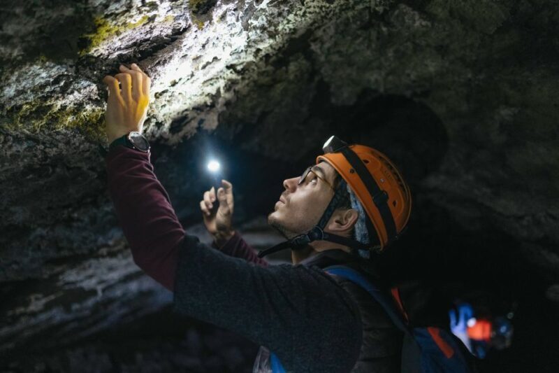 Catania: Mount Etna Morning or Sunset Day Trip with Tasting - Who Will Love This Tour?