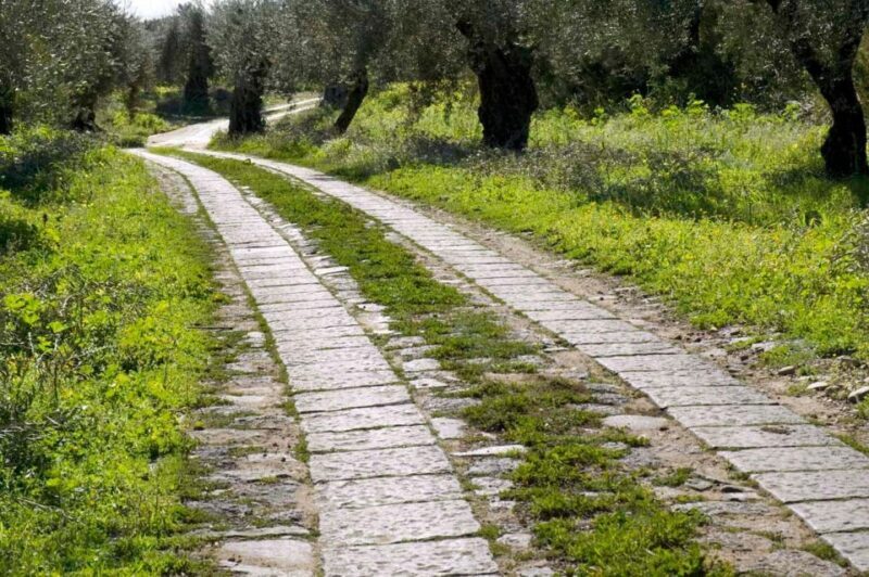 Catania: Pozzo di Gaspare Farm Guided Tour with Tastings - Key Points