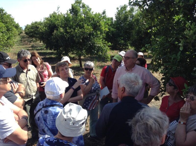 Catania: Pozzo di Gaspare Farm Guided Tour with Tastings - Who Will Love This Experience?