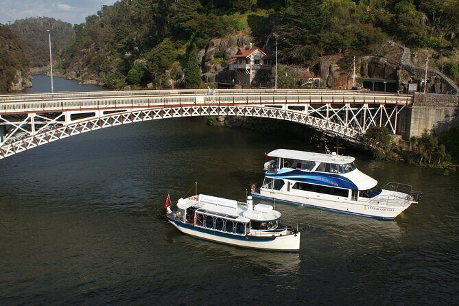Cataract Gorge Cruise 11:30 am - The Experience Breakdown: What You Can Expect
