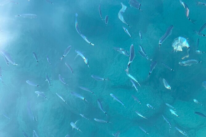 Catch the Sun, Skip the Crowds: 5Terre w Aperitivo&Snorkel - FAQs