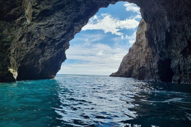 Cathedral Cove 2 Hour Guided Tour Explore Marine Wonders - An In-Depth Look at the Cathedral Cove Guided Tour