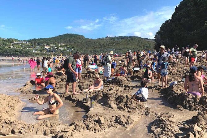 Cathedral Cove and Hot Water Beach Private Tour - Who Should Book This Tour?