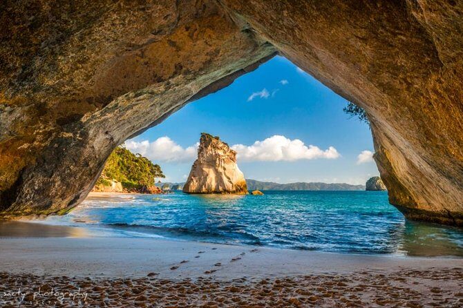 Cathedral Cove and Hot Water Beach Scenic Day Tour from Auckland - What Makes This Tour Stand Out?