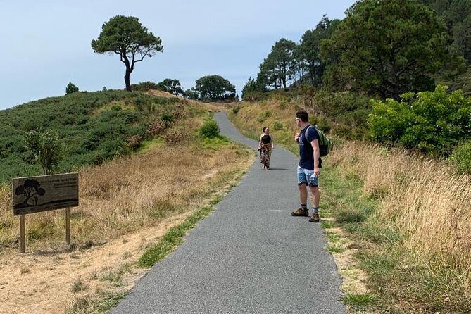 Cathedral Cove and Hot Water Beach Scenic Day Tour from Auckland - FAQ