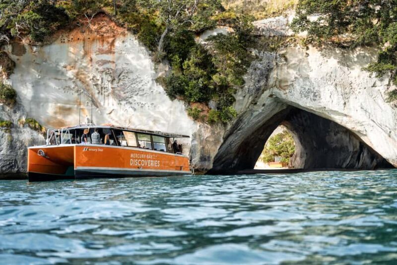 Cathedral Cove Coast and Cave Tour - An In-Depth Look at the Cathedral Cove Coast and Cave Tour