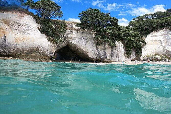 Cathedral Cove & Coromandel Peninsula Small-Group Day Tours - Key Points