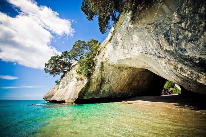 Cathedral Cove & Coromandel Peninsula Small-Group Day Tours - Why Choose This Tour?