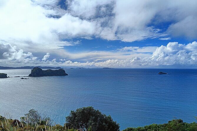 Cathedral Cove & Coromandel Private Experience from Auckland - Key Points