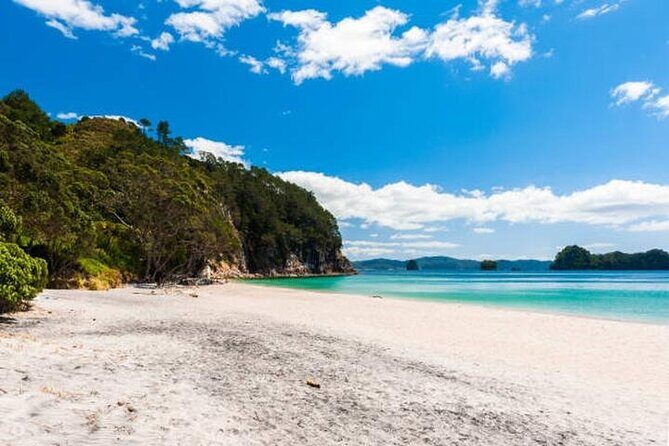 Cathedral Cove & Coromandel Private Experience from Auckland - What the Tour Includes and Excludes