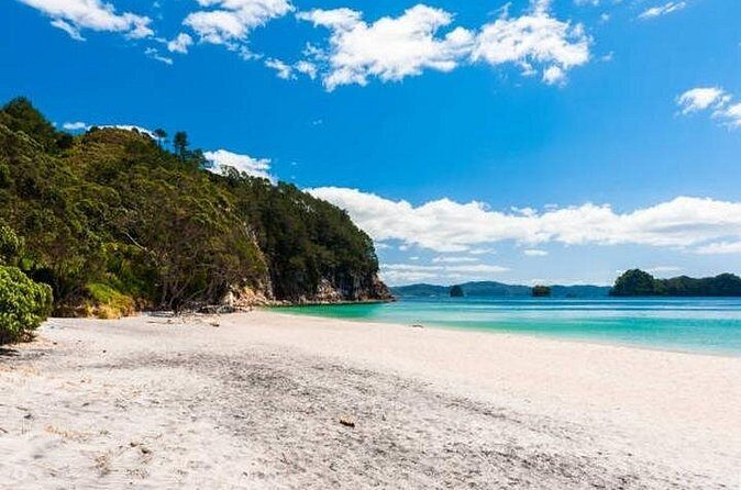 Cathedral Cove & Coromandel Private Experience from Auckland - Transportation and Comfort