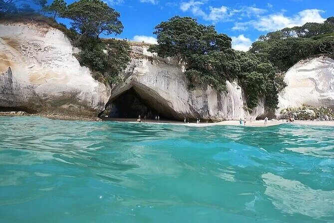 Cathedral Cove & Coromandel Private Experience from Auckland - The Sum Up