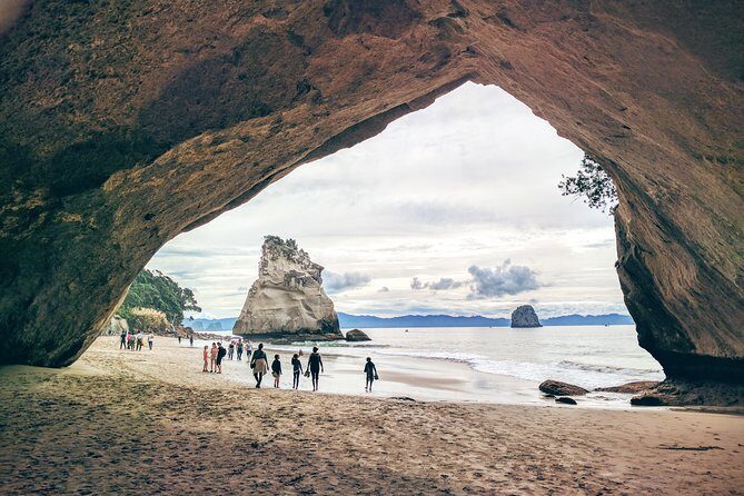 Cathedral Cove Day Trip from Auckland - A Closer Look at the Itinerary