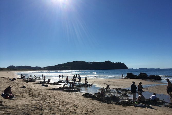 Cathedral Cove Day Trip from Auckland - Practical Details and Considerations