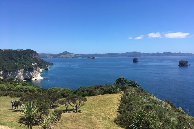 Cathedral Cove Day Trip from Auckland - Who Should Consider This Tour?