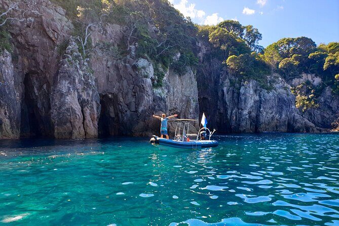 Cathedral Cove Dive & Snorkel- Marine Reserve specialised trips - Authentic Experiences & Reviewer Insights