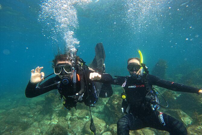 Cathedral Cove Dive & Snorkel- Marine Reserve specialised trips - The Value of This Snorkel Tour