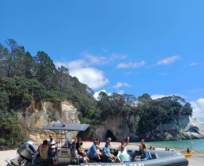 Cathedral Cove Electric Fat Tyre Bike Tour with Local Guide - Authentic Experiences and Real Traveler Insights
