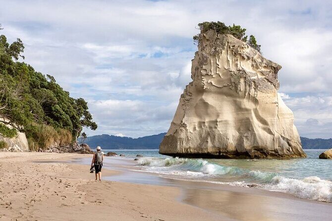 Cathedral Cove & Hot water beach -Full Day Tour: PRIVATE TOUR - Transportation and Group Size