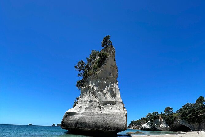 Cathedral Cove & Hot water beach -Full Day Tour: PRIVATE TOUR - FAQs