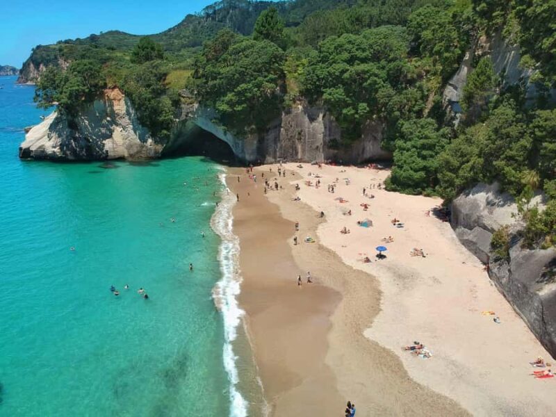 Cathedral Cove & Hot Water Beach Private Tour From Auckland - Hot Water Beach: Digging Your Own Thermal Spa