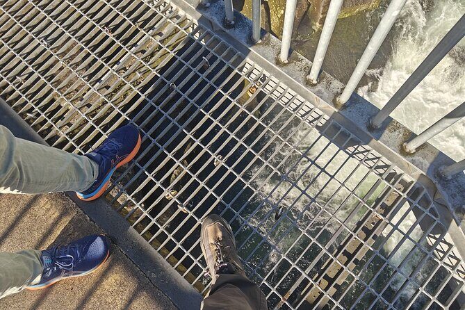 Cathedral Cove & Hot Water Beach with Lunch from Auckland - Hot Water Beach: Digging for Your Own Spa