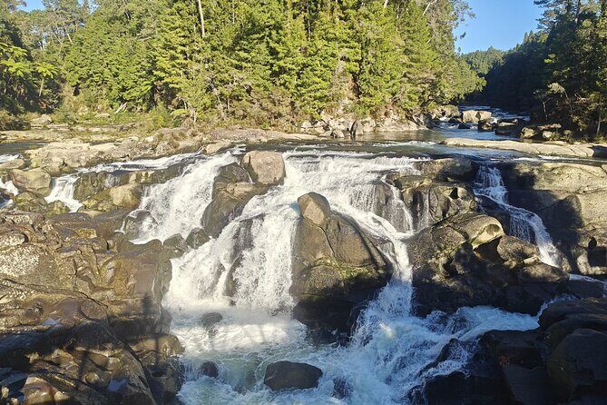 Cathedral Cove & Hot Water Beach with Lunch from Auckland - How Does the Price Measure Up?