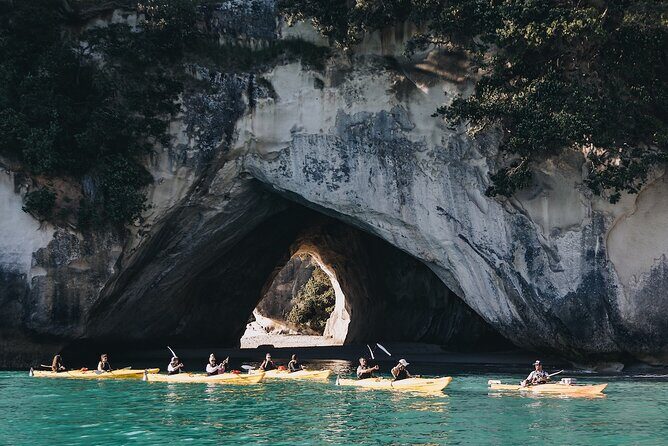 Cathedral Cove Kayak Tour - An In-Depth Look at the Cathedral Cove Kayak Tour