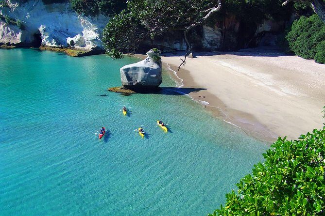 Cathedral Cove Kayak Tour - Final Thoughts: Is It Worth It?