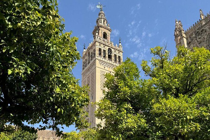 Cathedral Tour of Seville Giralda and Barrio Santa Cruz All in One - The Sum Up: Is This Tour Right for You?