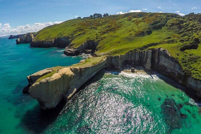 Catlins Cruiser Private Tour from Dunedin Cruise Port - An Honest Look at the Catlins Cruiser Private Tour
