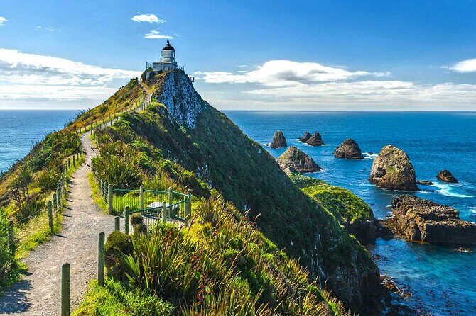 Catlins Cruiser Private Tour from Dunedin Cruise Port - Final thoughts: Who should consider this tour?