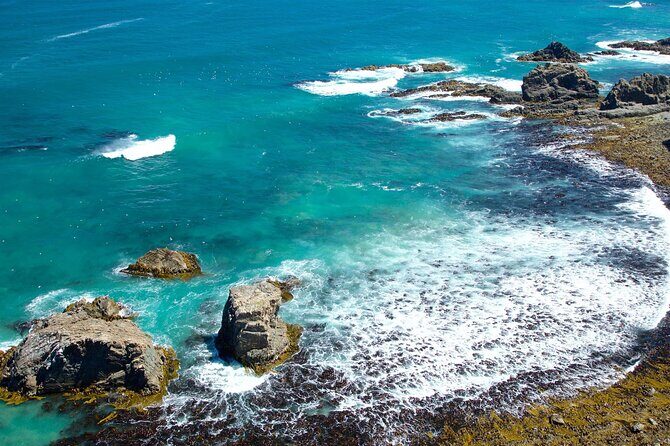 Catlins Cruiser Private Tour from Dunedin Cruise Port - FAQs