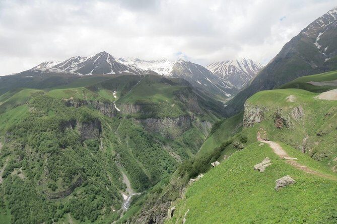 Caucasus mountains full day Private Tour Ananuri-Gudauri-Kazbegi - Transportation and Guide