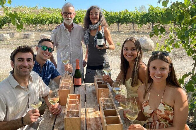 Cava tour to 3 family wineries with hotel pick-up - Key Points