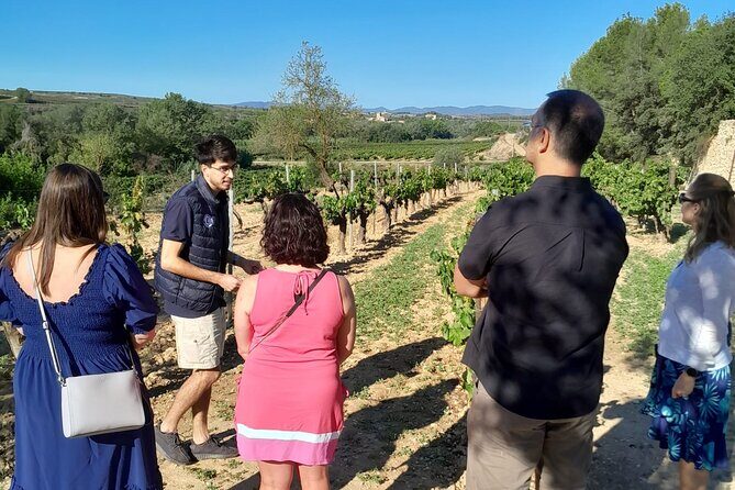 Cava tour to 3 family wineries with hotel pick-up - The Real Value in This Experience