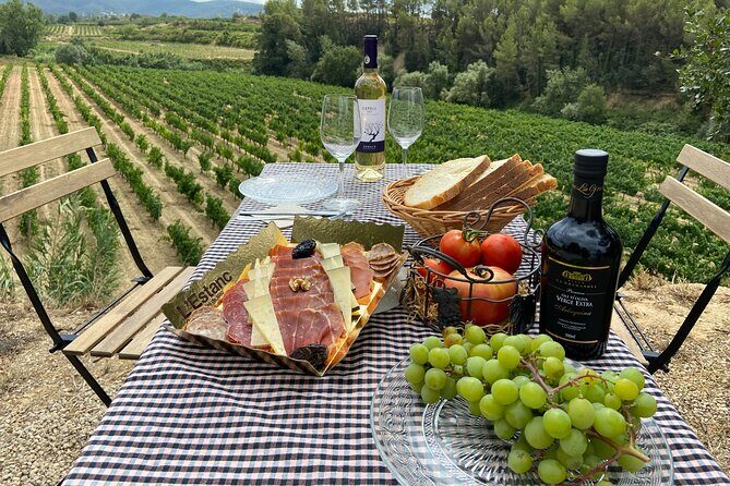 Cava tour to 3 family wineries with hotel pick-up - Who Will Love This Tour?