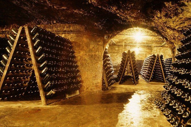 Cavas Freixenet Wine Tour from Mexico City - Key Points