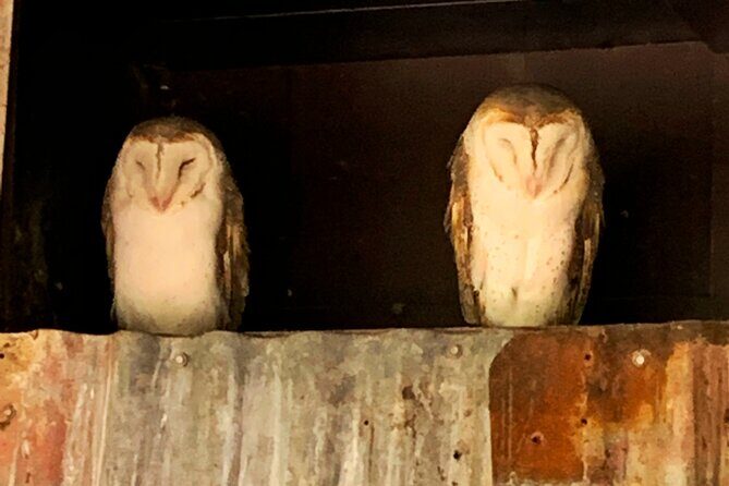 Caversham Wildlife and Swan Valley Private Tour - Who Would Love This Tour?