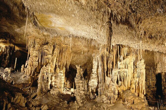 Caves Drach Tour & Return Transfer from Cala Dor-Calas Mallorca - The Journey Begins: Pickup and Transportation