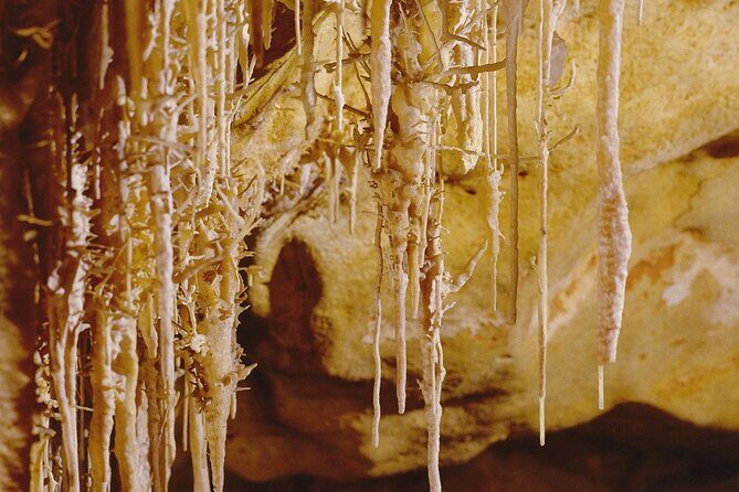 Caves Drach Tour & Return Transfer from Cala Dor-Calas Mallorca - Leisure Time and Shopping