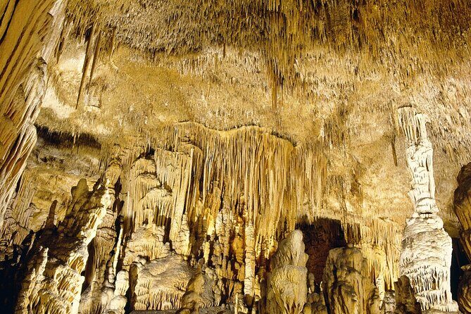 Caves Drach Tour & Return Transfer from Cala Dor-Calas Mallorca - Who Should Consider This Tour?
