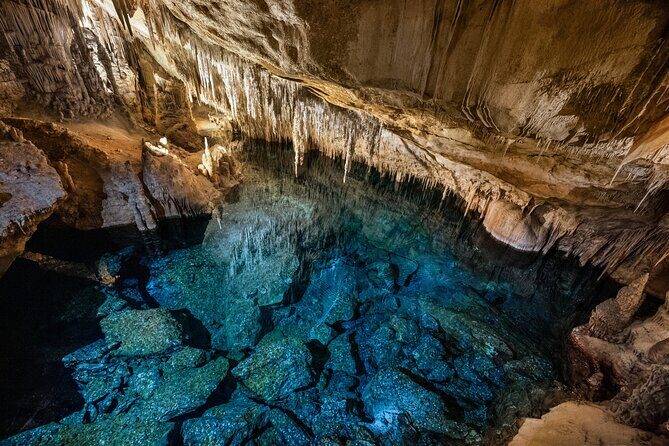 Caves of Drach Tour From Cala Millor and Cala Ratjada - Exploring the Itinerary: What to Expect