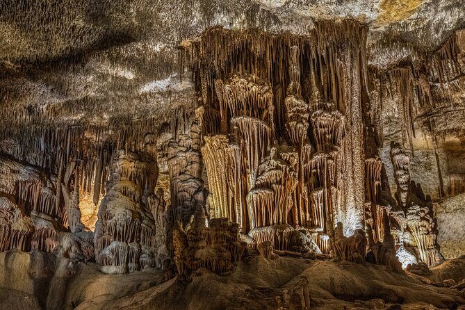 Caves of Drach Tour From Cala Millor and Cala Ratjada - Who Will Love This Tour?