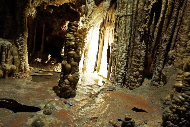 Caves of Genova Admission in Palma de Mallorca - Practical Details and Tips for Visitors